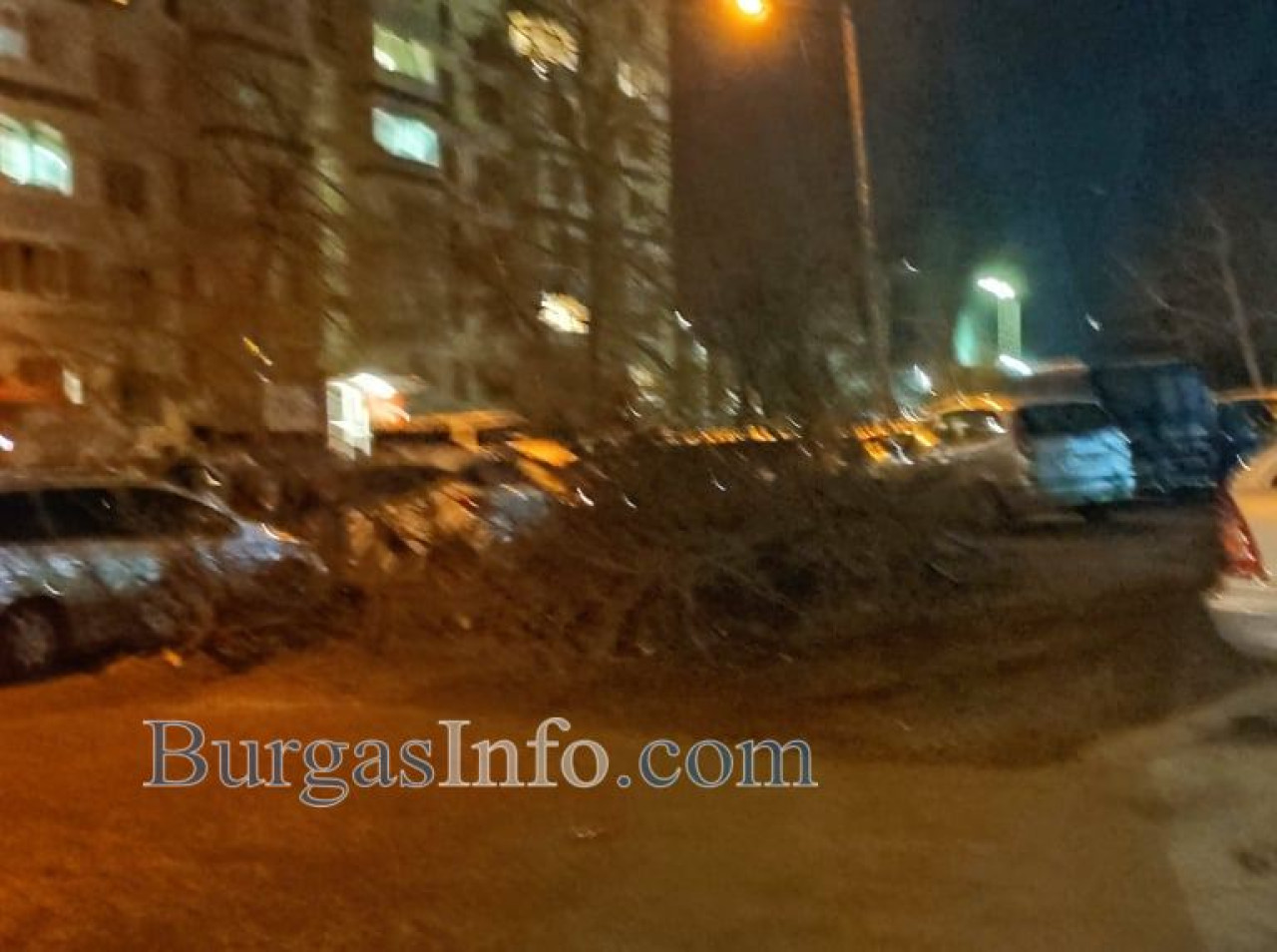 Дърво падна върху коли в бургаския ж к Славейков Новини от Бургас