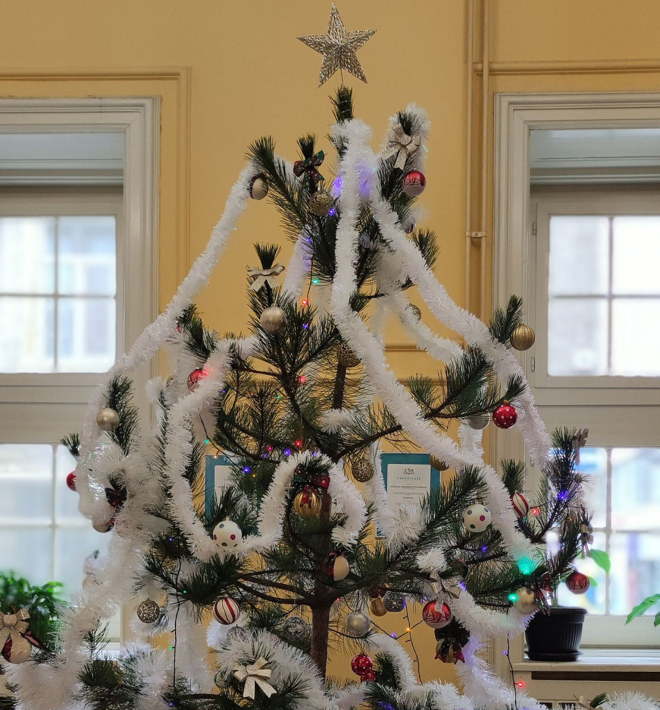 За седма година „Елха на доброто” грейва в Областна администрация ето как да зарадвате бургаско